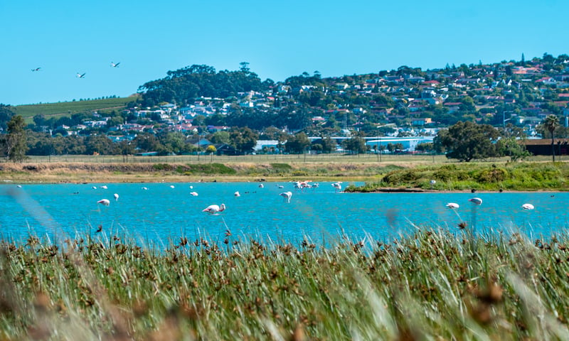 PAARDEVLEI LIFESTYLE ESTATE – FOR VALUE’S SAKE! - Balwin Developments